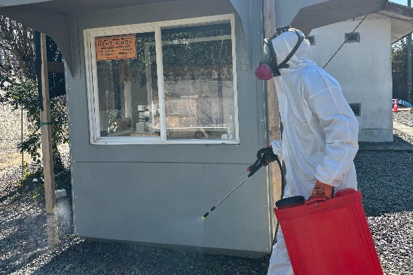 Fumigación Profesional